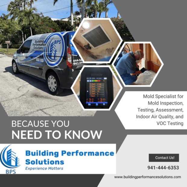 GUIDE TO EFFECTIVE MOLD PREVENTION IN NEW CONSTRUCTION — Bradenton Mold ...